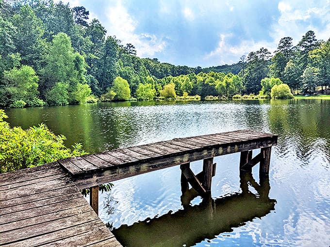 This humble wooden dock invites contemplation, fishing stories, and that rare moment when you finally put your phone down.
