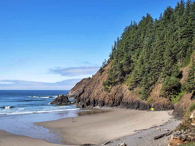 Social distancing, Oregon style. At Ecola's secluded beaches, the only crowds you'll encounter are gatherings of seabirds debating wave quality.