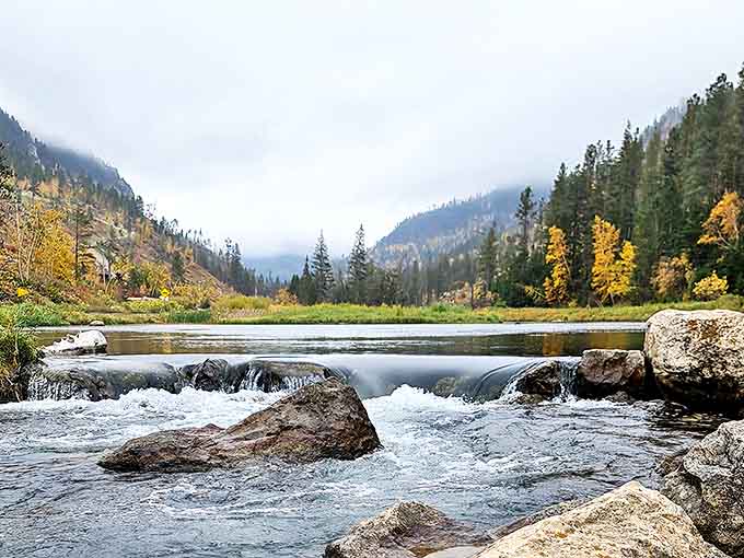 Autumn in Spearfish Canyon is like God's own paint palette. Golden aspens and misty mountains create a scene that makes Vermont leaf-peepers question their life choices.