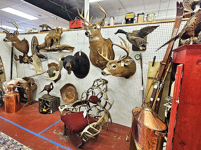 Where the wild things are... mounted on walls! This hunter's paradise corner showcases taxidermy that would make Teddy Roosevelt tip his hat in approval.