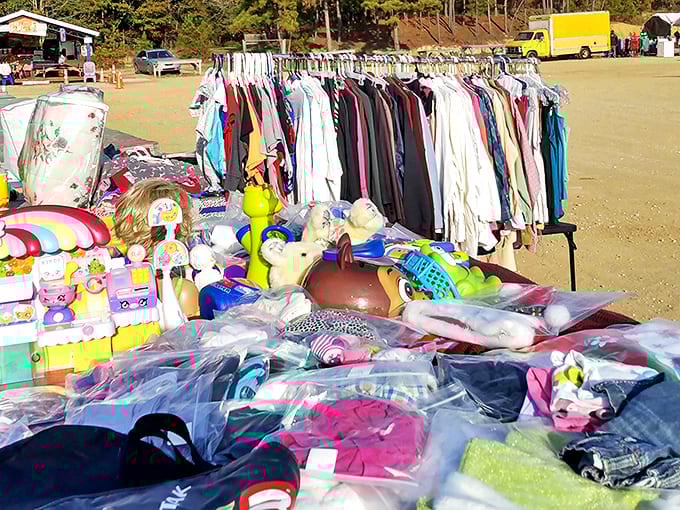 From toys to clothing racks, this colorful booth offers a treasure trove of possibilities for bargain hunters of all ages.