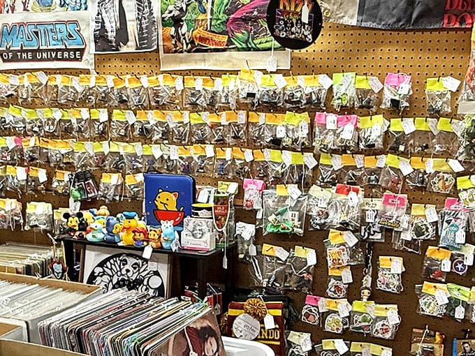 A collector's paradise with vintage toys, action figures, and vinyl records&mdash;where childhood nostalgia meets adult purchasing power.