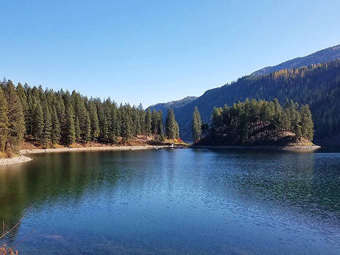 Mirror, mirror on the lake&mdash;Farragut's pristine waters reflect autumn's golden touch, creating nature's perfect double feature.