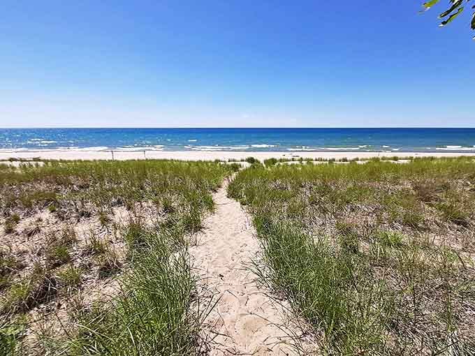 Nature's invitation written in sand and grass. This pathway through the dunes promises Lake Michigan's endless blue horizon as your reward.