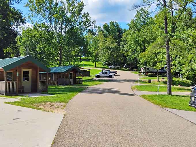 Cozy cabins nestled among towering trees &ndash; the perfect basecamp for adventures that don't require explaining why your phone has no service.
