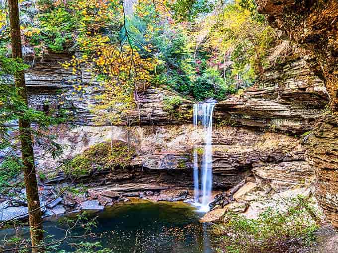 Fall foliage frames this cascading beauty like Mother Nature's own picture frame. Photographers, prepare to fill your memory cards faster than hikers fill water bottles.