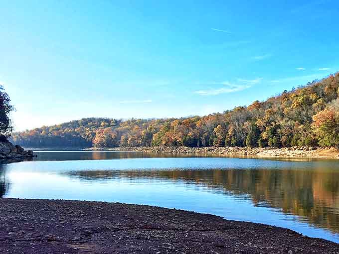 Cherokee Lake's autumn splendor puts on a show that would make Bob Ross reach for his palette. Nature's mirror reflects the season's fiery wardrobe.