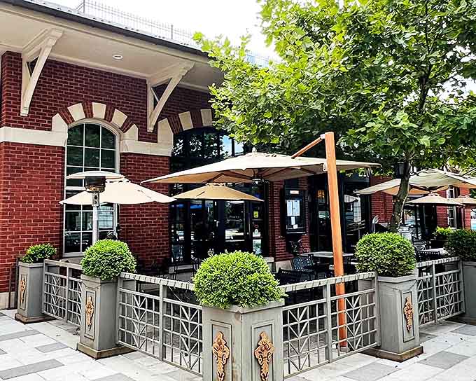 Ted's charming outdoor patio beckons with its elegant planters and wrought iron details &ndash; the perfect stage for people-watching while savoring those famous homemade pop tarts.