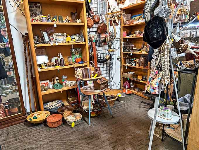 A collector's paradise where every shelf tells a story. This corner alone contains enough conversation starters to get you through a year of dinner parties.