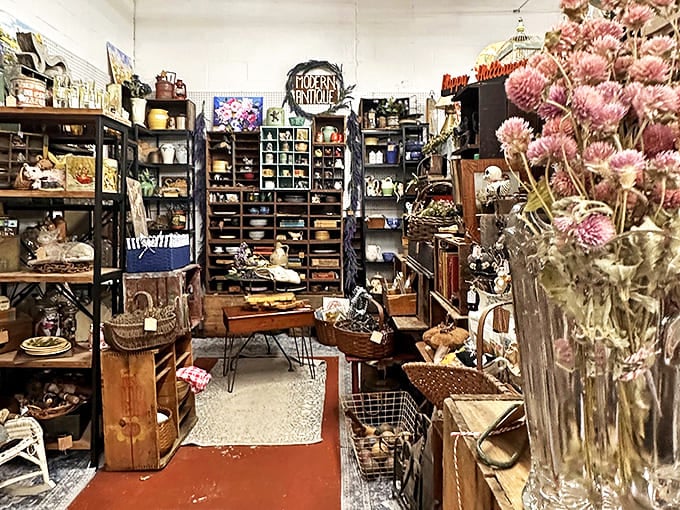 Every nook tells a story in this carefully curated chaos. Dried flowers, wooden treasures, and vintage cubbies create the ultimate "I could spend hours here" experience.