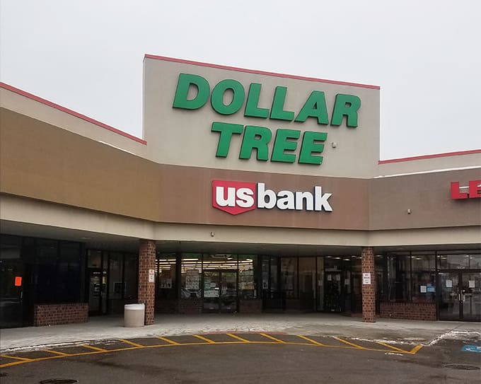 Under clear Illinois skies, the Dollar Tree's distinctive green lettering serves as a beacon for savvy shoppers looking to stretch their dollars to remarkable lengths.