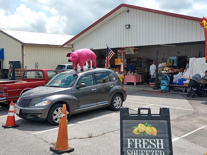 Nothing says "authentic flea market experience" quite like a giant pink pig perched atop a car. The universal signal that unexpected treasures await inside.
