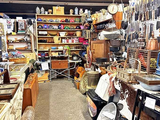 Treasure hunter's paradise in full glory. Vintage kitchenware, quirky collectibles, and mysterious gadgets create an archaeological dig site for the modern bargain hunter with a nose for nostalgia.
