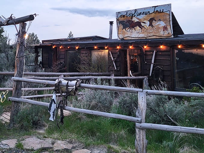 The Cowboy Dinner Tree stands defiant against time, its weathered exterior and authentic ranch equipment promising a genuine slice of Oregon's frontier spirit.
