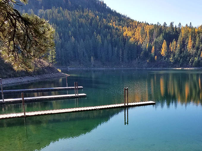 Mirror, mirror on the lake—Farragut's pristine waters reflect autumn's golden touch, creating nature's perfect double feature.