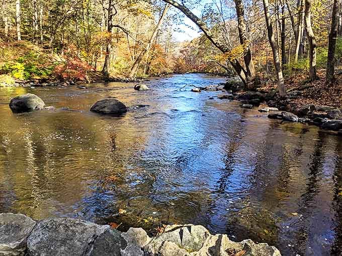 Fall transforms the Musconetcong River into nature's own kaleidoscope, with amber and gold reflections dancing on water clear enough to count the pebbles below.