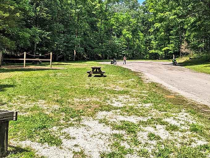 Simple pleasures: a picnic table waiting patiently in a clearing. Like finding an empty restaurant table exactly when your stomach growls.