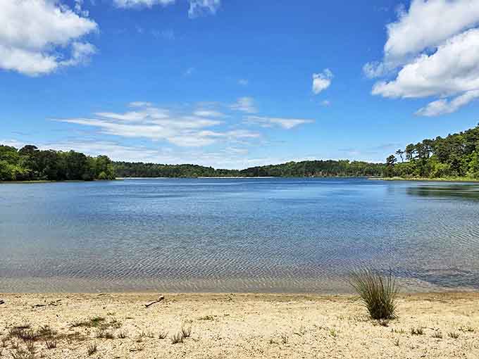 The beach you didn't expect to find in a forest. Nickerson's pristine shorelines offer Caribbean-blue waters with a distinctly New England backdrop.