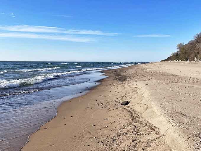 Lake Michigan stretches to the horizon at Grand Mere, where pristine shoreline meets crystal-clear waters. Nature's version of a five-star resort, minus the room service.