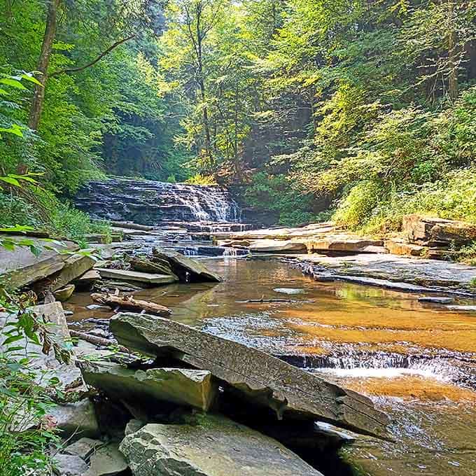 Where water meets wilderness&mdash;Salt Springs' gentle cascades create nature's own staircase, inviting you to follow the path upstream to more wonders.