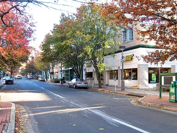 Tree lined streets give Johnstown a calm welcoming feel. The kind of place that makes slowing down feel natural.