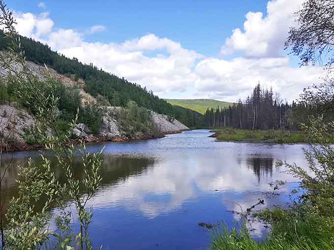 Nature's mirror game is undefeated here, where autumn colors double their impact through perfect reflections. Alaska showing off again!