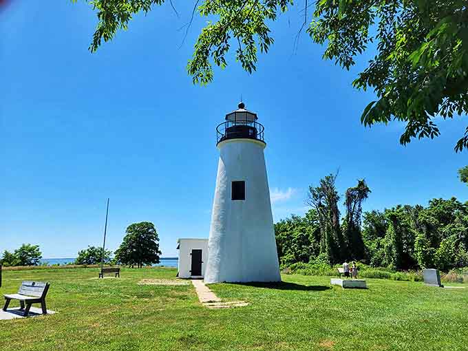 Standing tall since 1833, this whitewashed beacon has guided ships and camera-toting visitors alike to one of Maryland's most spectacular viewpoints.