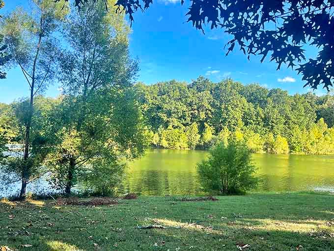 Nature's perfect living room. Sunlight filters through towering trees onto emerald grass, creating a peaceful sanctuary where the Mississippi whispers in the background.