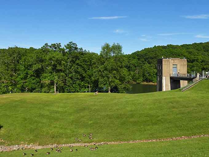 The Tom Jenkins Dam stands sentinel over Burr Oak's emerald landscape, where geese gather like tourists at a resort buffet.