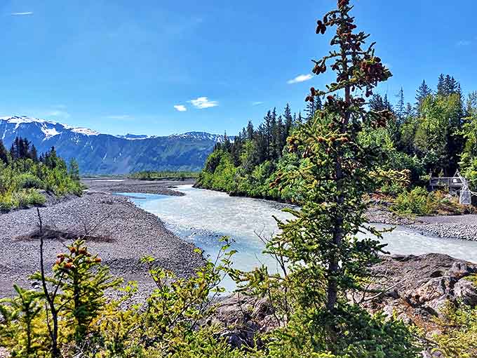 Glacial waters carve their ancient path through Kachemak Bay State Park, a testament to nature's patient, powerful artistry.