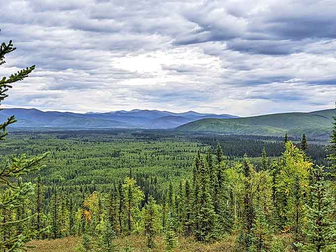 Mother Nature's masterclass in landscape painting. Those rolling hills and endless forests make you wonder if Bob Ross was secretly Alaskan.