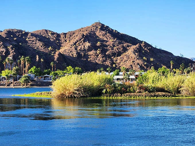 Where rugged mountains meet tranquil waters, River Island State Park creates nature's perfect contradiction. Desert peaks reflect in the Colorado River's blue mirror.