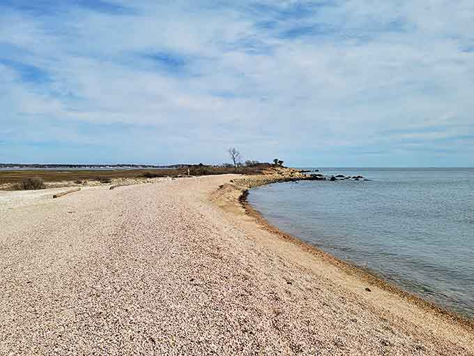 Nature's gentle curve creates this perfect crescent of shoreline, where the Long Island Sound whispers secrets to those patient enough to listen.