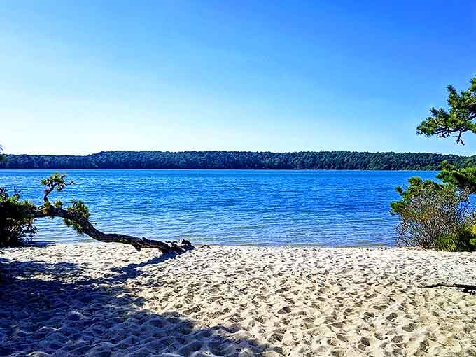 Who needs a tropical vacation when Massachusetts delivers this? Nickerson's sandy beaches and azure waters create the perfect Cape Cod surprise.