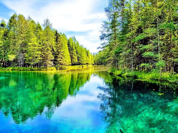 The forest reflects perfectly in waters so still, it's like Mother Nature checking her makeup in a giant mirror.