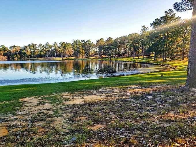 Morning light dances across Geiger Lake, turning ordinary Mississippi pines into nature's cathedral. This is serenity you can't bottle.