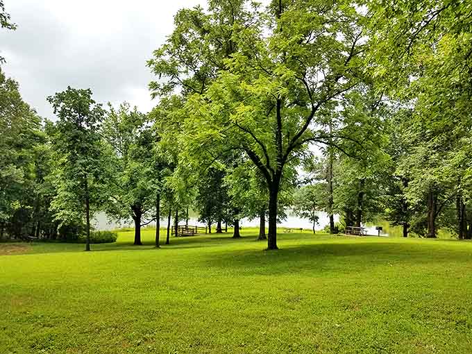 Nature's perfect living room. Sunlight filters through towering trees onto emerald grass, creating a peaceful sanctuary where the Mississippi whispers in the background.