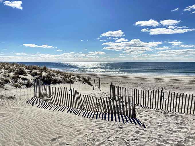 Protective dune fences create natural boundaries where pristine sand meets the vast Atlantic under an endless blue sky.