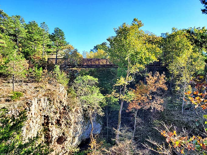 The bridge across the gorge offers vertigo-inducing views that make you feel like you're floating between two worlds. Oklahoma's answer to the hanging gardens, minus the hanging part.