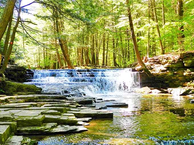 Sunlight dapples through the forest canopy, illuminating this perfect stepped waterfall like Mother Nature's own infinity pool in the woods.