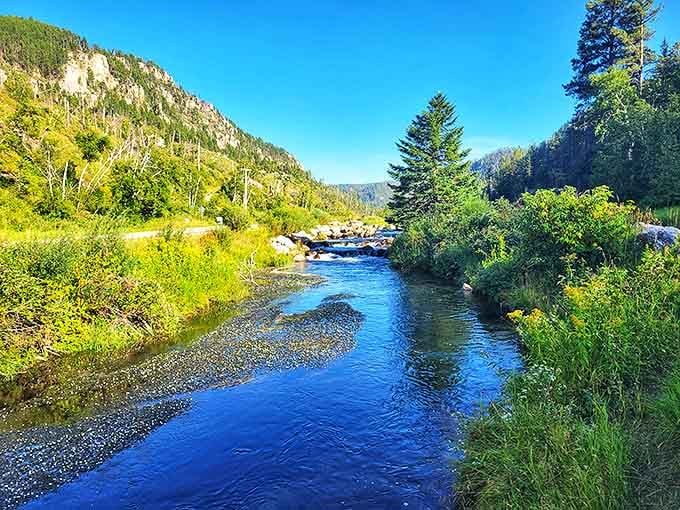 Spearfish Creek's crystal waters flow like nature's blue ribbon through the canyon. The kind of pristine stream that makes fish photographers need waterproof cameras.