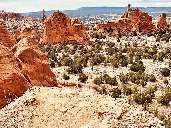 Nature's skyscrapers rise from the desert floor, their crimson faces catching the light like they're posing for their close-up.
