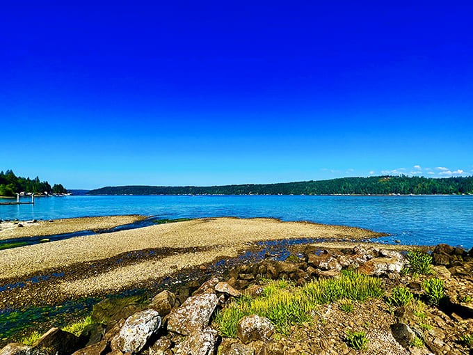 Low tide reveals Twanoh's pebbly beach and tidal zones, where beachcombers can discover marine treasures against Hood Canal's brilliant blue waters.