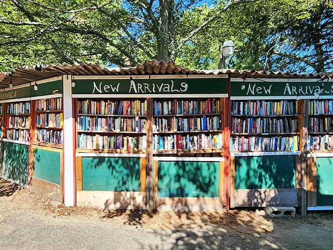 The "New Arrivals" section at The Book Barn isn't just a bookshelf&mdash;it's literary Christmas morning every day of the year, with treasures waiting under the dappled sunlight.