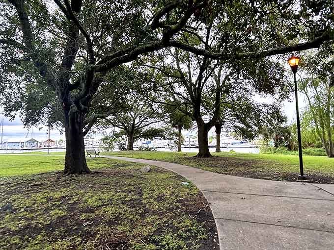Bartram Park's ancient oaks create nature's cathedral, where dappled sunlight filters through Spanish moss and pathways invite contemplative strolls.