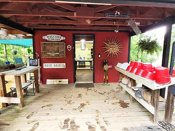 Beak and Berry Farm's rustic "She Shed" welcomes visitors to experience a slice of rural life just minutes from downtown Senoia.