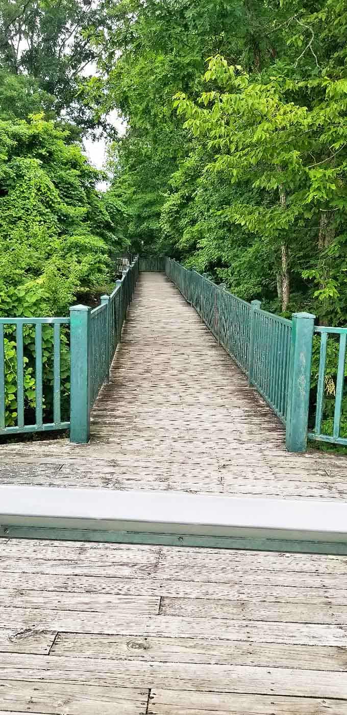 The boardwalk beckons with promises of adventure. Mint-green railings guide visitors through a tunnel of greenery toward hidden natural treasures.