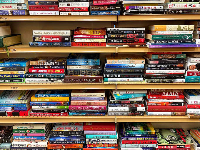 Literary paradise where bestsellers and forgotten gems share shelf space, proving that good stories, like good people, deserve second chances.