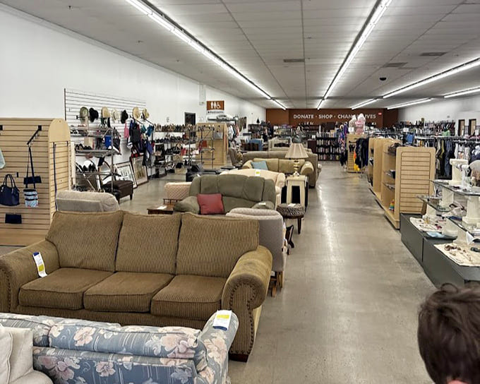 The furniture section resembles a living room showroom where everything has a story and a price tag that won't make you wince.