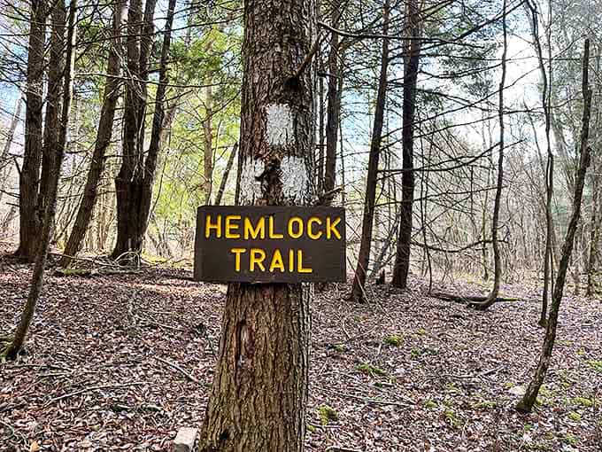 The Hemlock Trail sign doesn't just mark a path; it promises an encounter with ancient trees that were saplings when America was born.